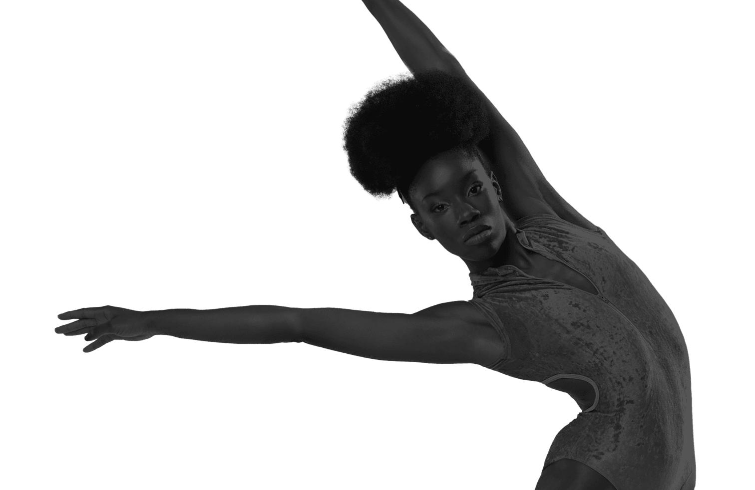 Our Story | Alvin Ailey